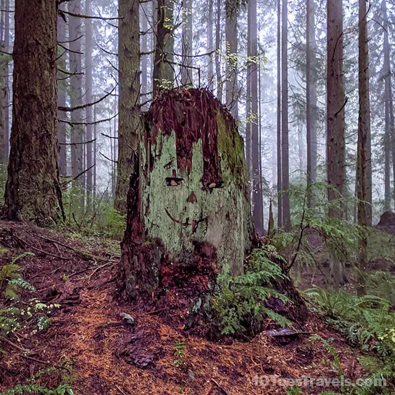 My Hike of the Oyster Dome Trail - Bellingham, WA