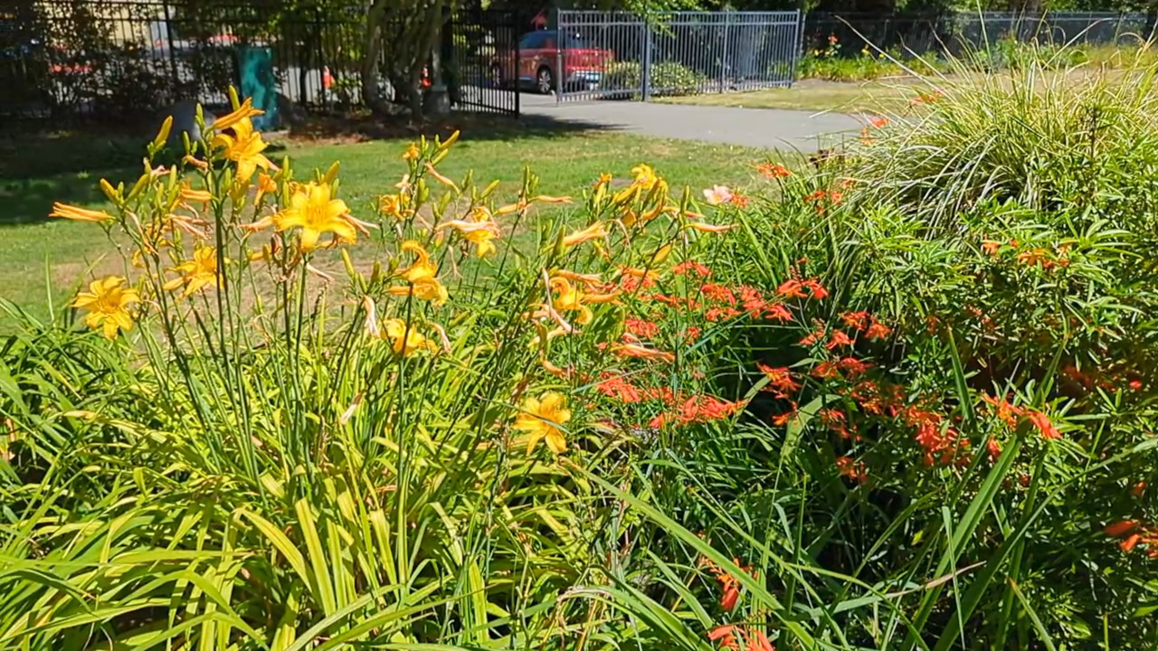 A Secret Garden Awaits: Highline SeaTac Botanical Garden - 10 Toes Travel